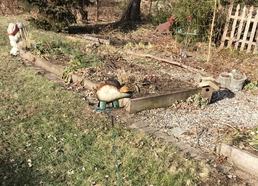 #38 Winter Clean-up for the Wildlife - Gardening with a Mad Man